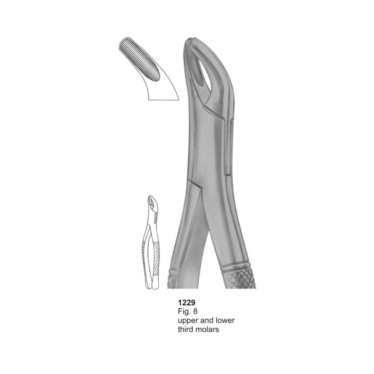 Upper and Lower Third Molars – GamiSurgical