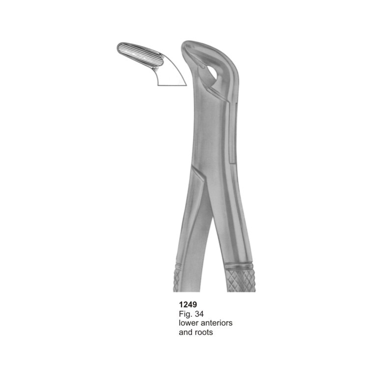Lower Anteriors and Roots – GamiSurgical