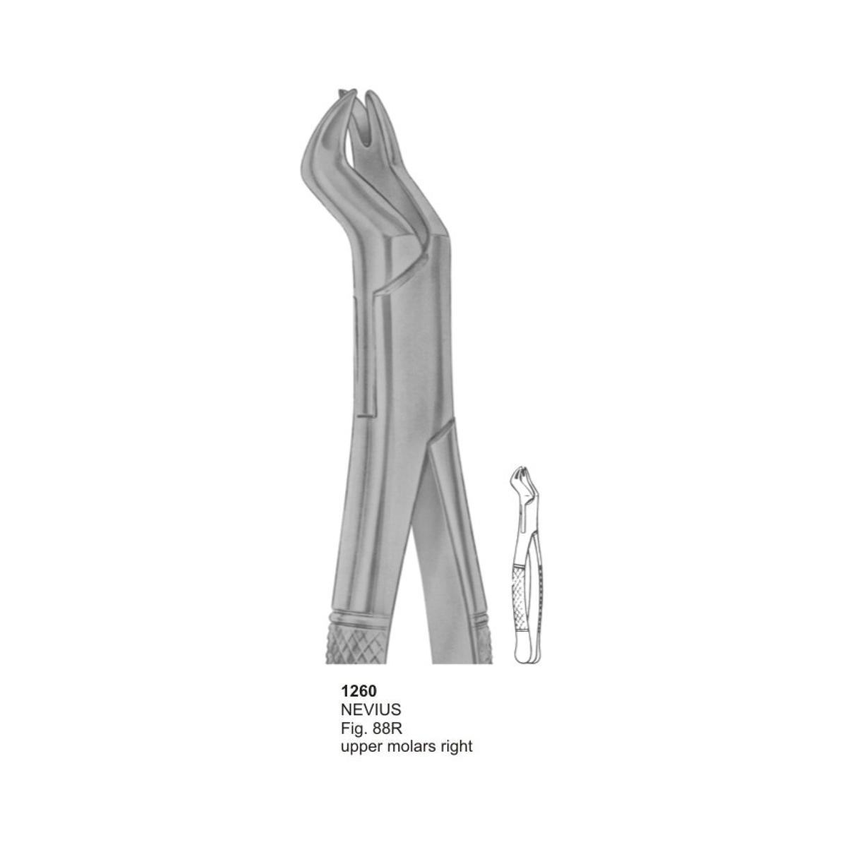 NEVIUS, Upper Molars Right – GamiSurgical